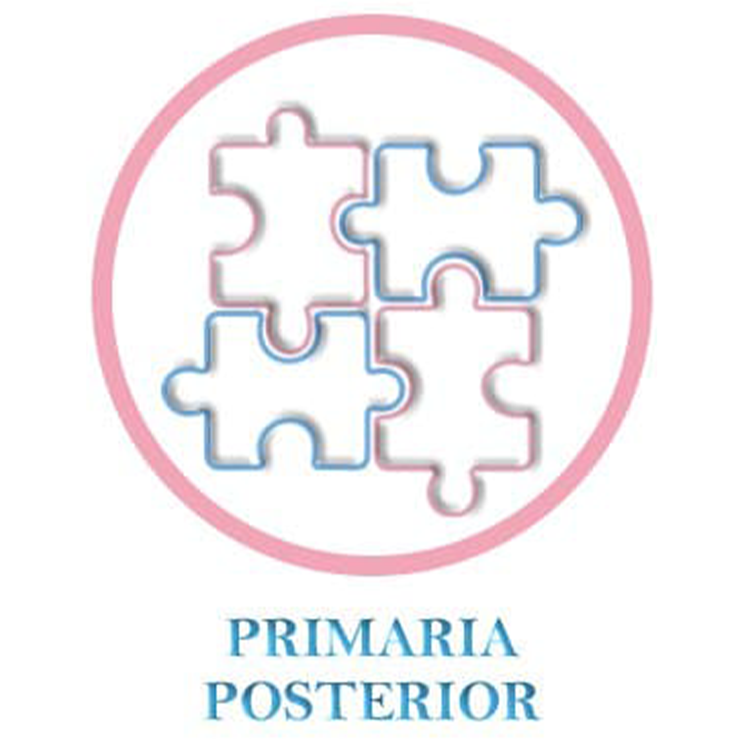 Institución de Rehabilitación Integral y Educación Especial “Milagroso ...